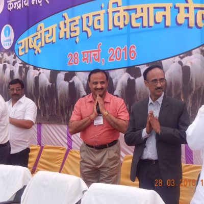 Photo Gallery – Uttrakhand Sheep and Wool Development Board | USWDB