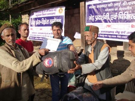 Photo Gallery – Uttrakhand Sheep and Wool Development Board | USWDB