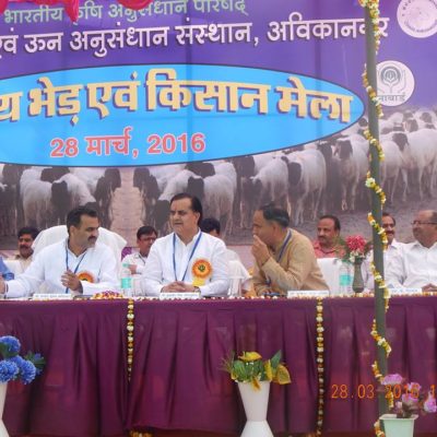 Photo Gallery – Uttrakhand Sheep and Wool Development Board | USWDB