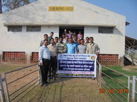 Photo Gallery – Uttrakhand Sheep and Wool Development Board | USWDB