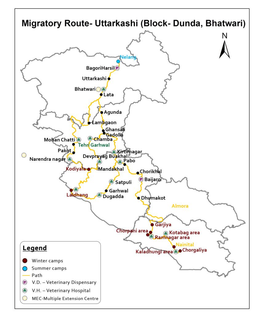 Pastoralist – Uttrakhand Sheep and Wool Development Board | USWDB