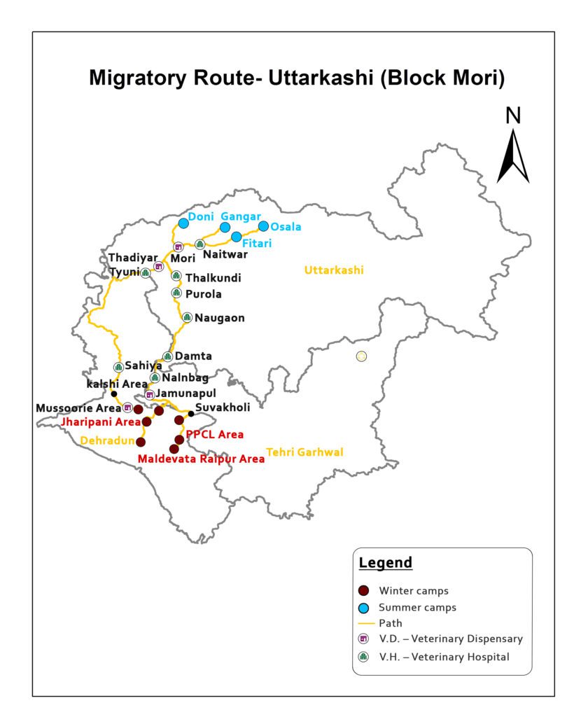 Pastoralist – Uttrakhand Sheep and Wool Development Board | USWDB
